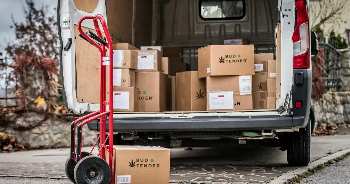 Premium CBD Oil | Best CBD Oil UK | Online CBD Shop | Bud & Tender®