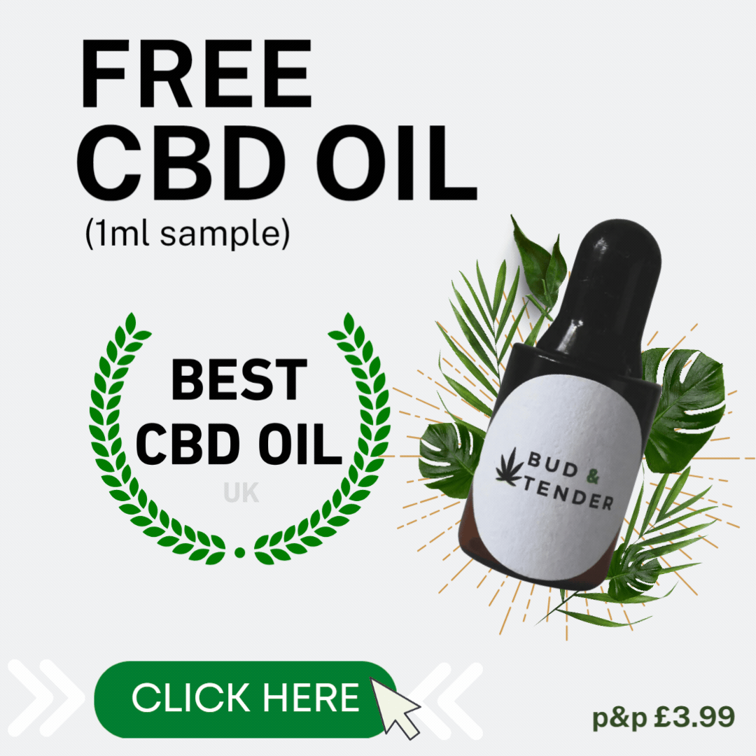 What Drugs Should Not be Taken With CBD? | Bud & Tender